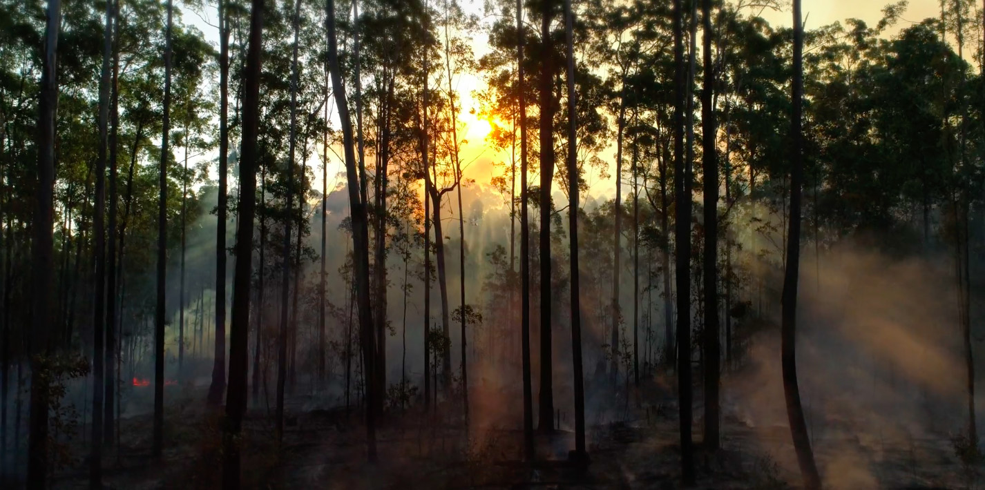 The Place – History, Heritage and Future of Barangaroo | Barangaroo