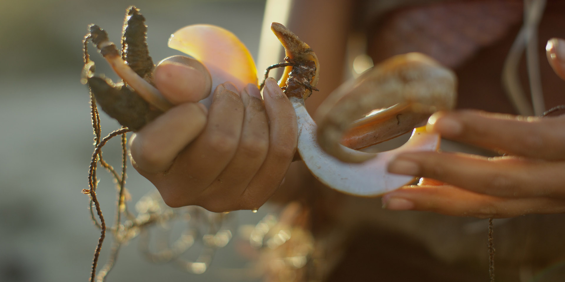 History of Barangaroo | Sydney’s Past & Aboriginal Heritage | Barangaroo