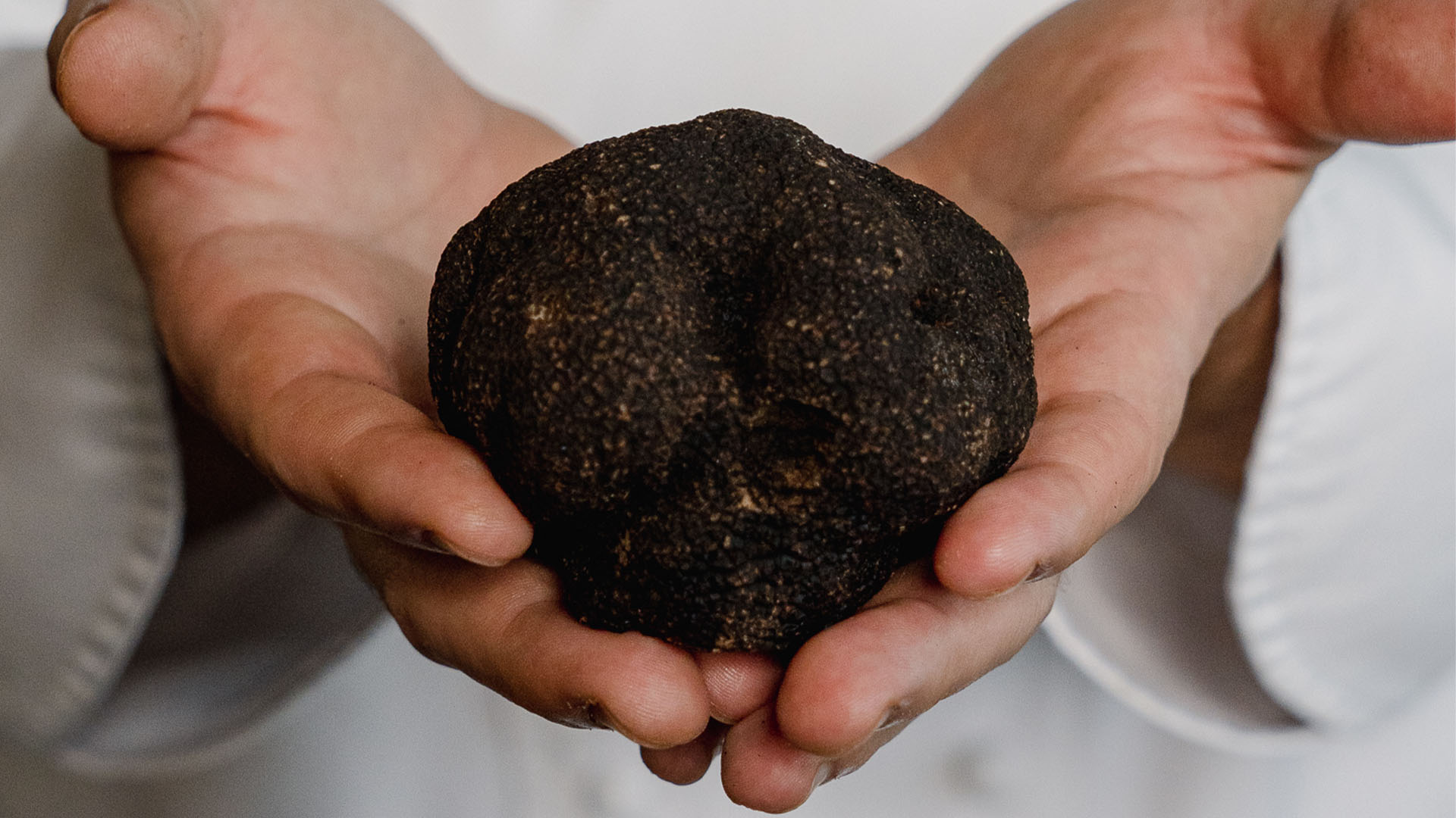 a'Mare Truffle Dinner | Barangaroo