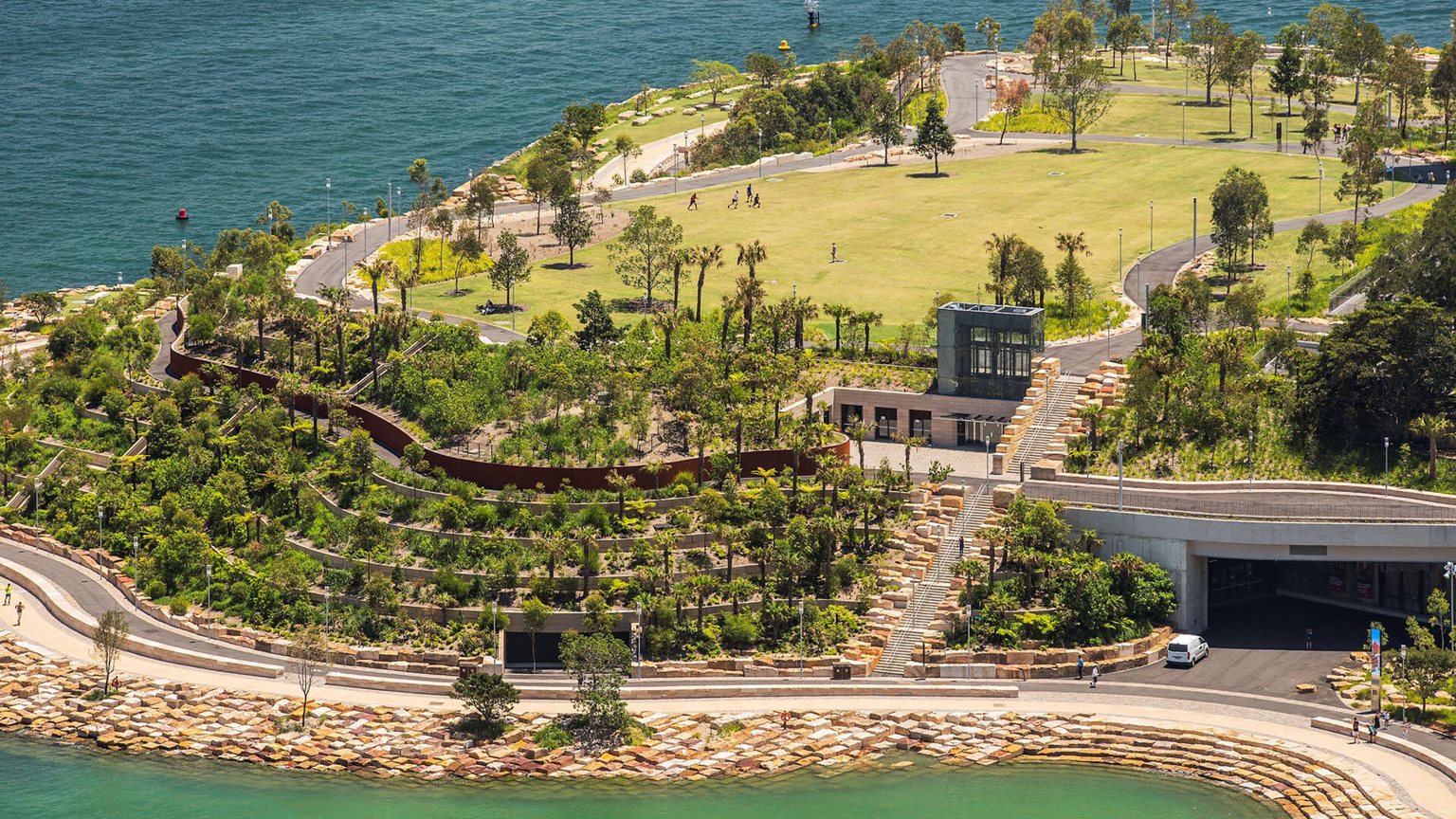 Barangaroo Reserve | Best things to do in Sydney | Barangaroo